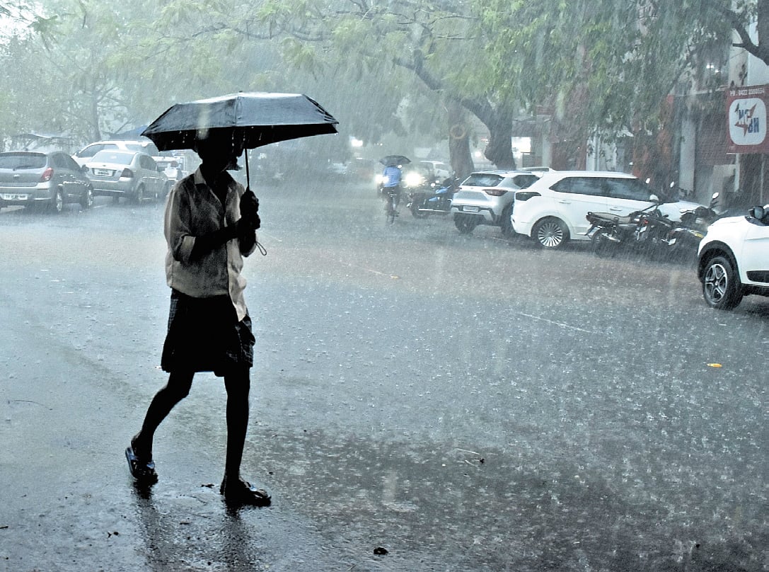 TN’s May rainfall 7th highest in 124 years
