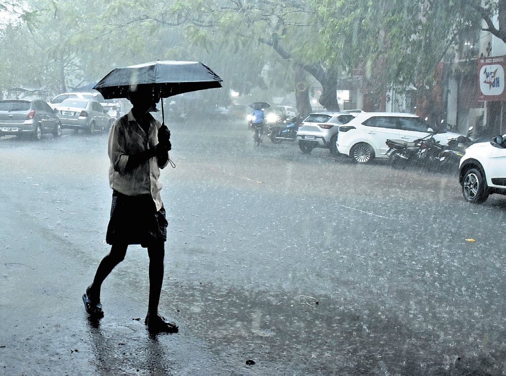 TN’s May rainfall 7th highest in 124 years