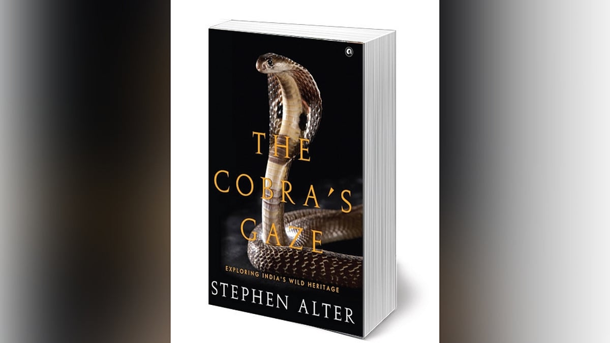 'The Cobra’s Gaze' book review: A masterclass in ecological awareness