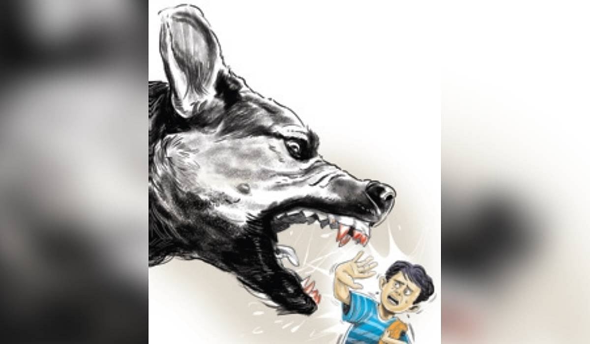 Odisha government to set up anti-rabies clinics at DHHs