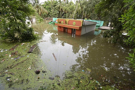 Rivers, streams overflow amidst heavy rains in north, east Telangana