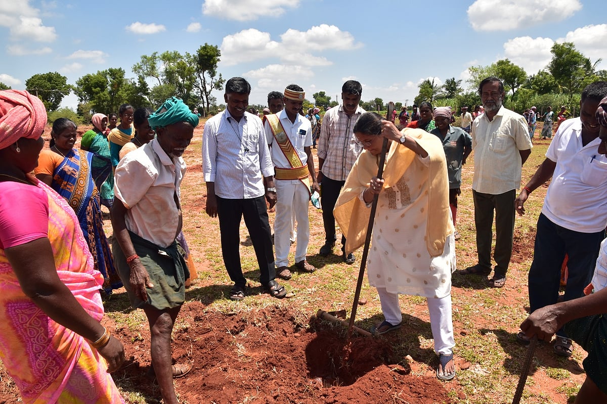 Outgoing Perambalur collector's initiatives win her a place in people’s ...