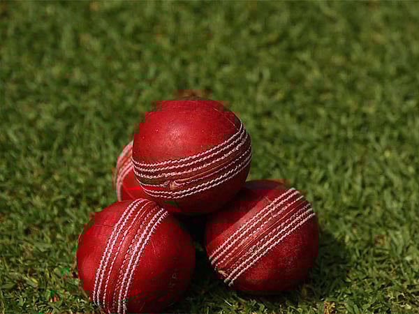 Chennai: Professional cricketer dies after jumping off Kathipara flyover