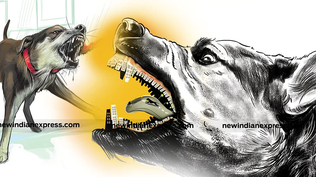 Rapid response teams to curb dog menace in Hyderabad