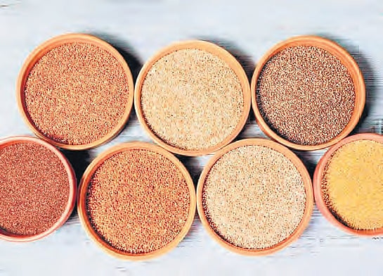 Chittoor farmers in Andhra Pradesh turn to minor millet cultivation
