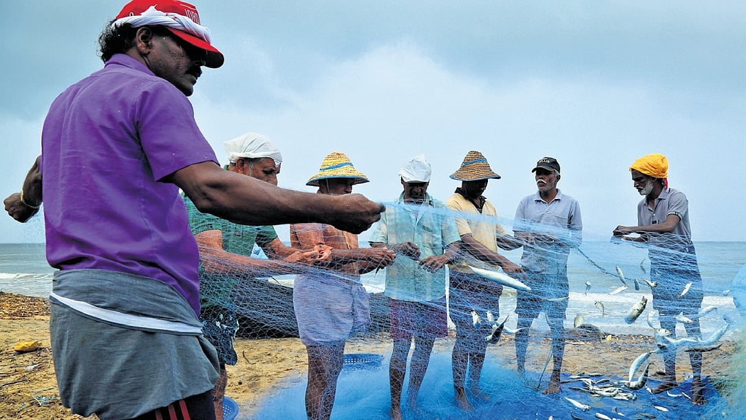 Kerala's marine export sector faces crisis amid ocean warming and Red ...