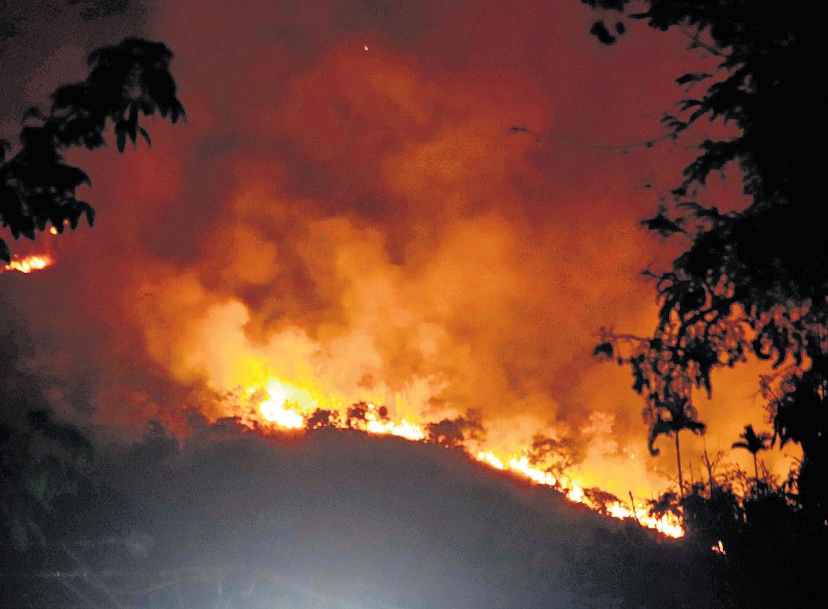 Tamil Nadu saw 3,380 incidents of forest fire last summer, highest in 4 ...