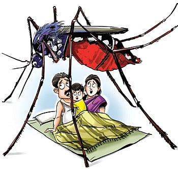 Government set to procure LLIN as malaria cases rise in Odisha