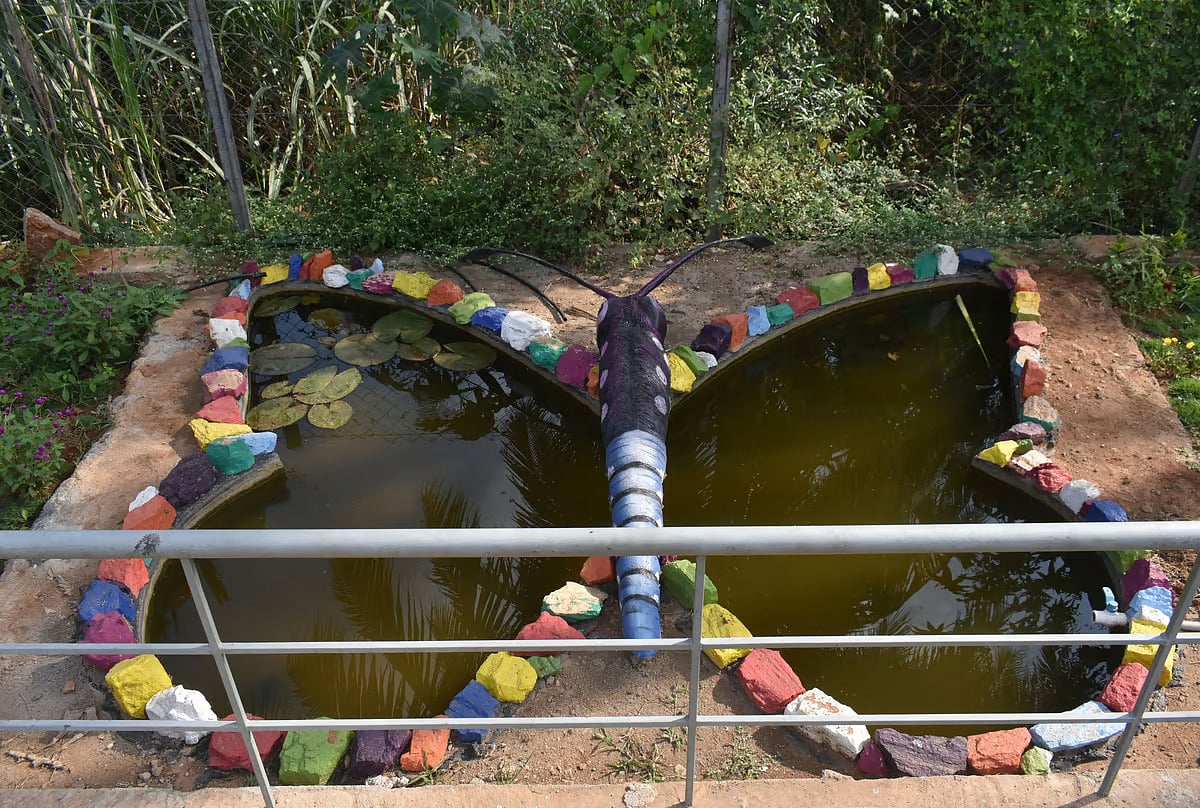 Butterfly park opened near Vellalore in Coimbatore