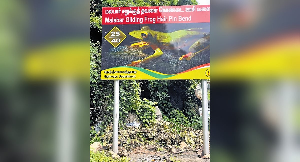 40 hairpin bends on Valparai road named after rare ATR fauna