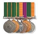 Telangana constable only cop in country to get President's Gallantry Medal