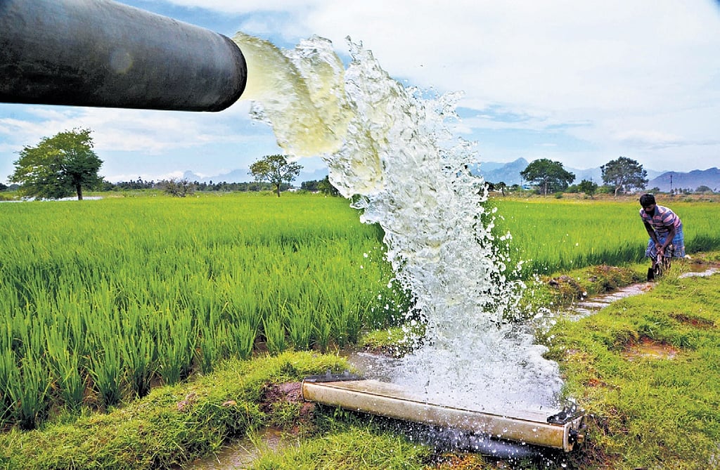 Check on defunct EB line: Tamil Nadu farmers seek protection