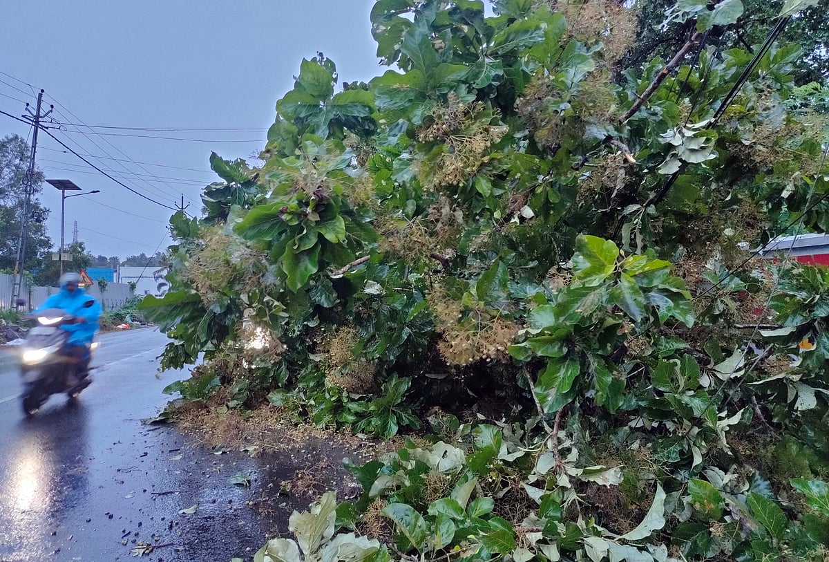 Heavy winds wreak havoc in south and central Kerala