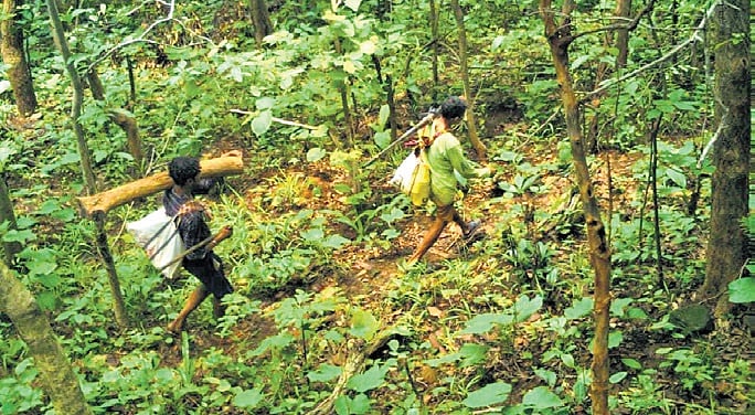 Five poachers caught on camera in STR, arrested with guns