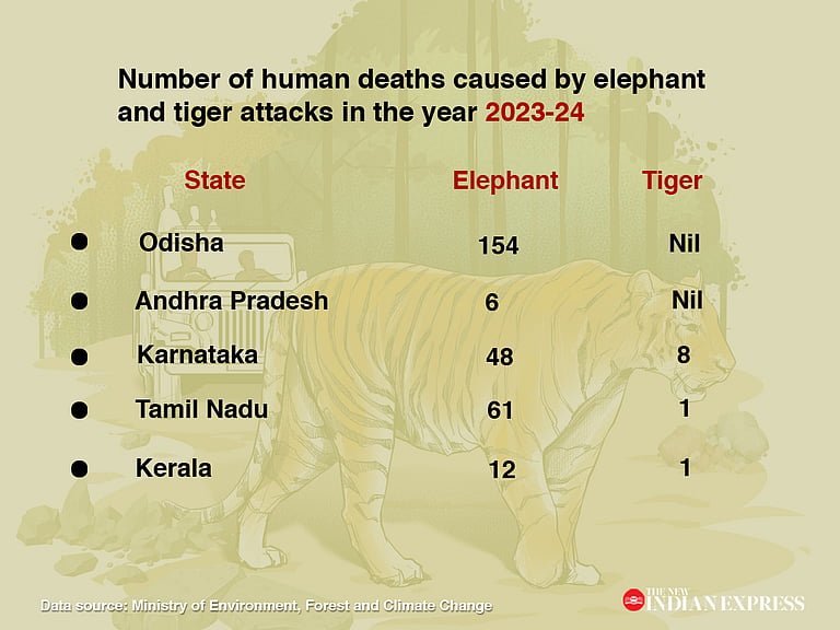 Human-animal conflict: Can a joint effort bring peace to the Southern ...