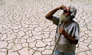 Eleven districts in Bihar face drought-like situation