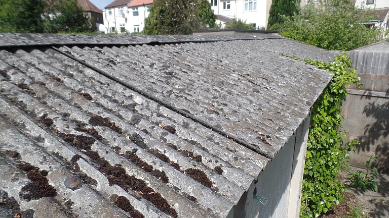 NGT flags health risks of asbestos usage in construction of educational ...