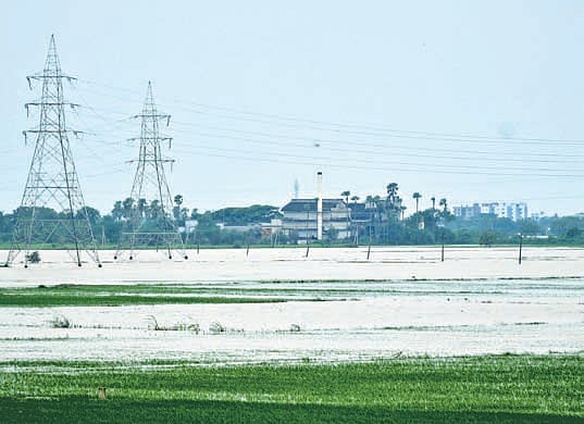 Heavy rains devastate over 40k hectares of crops in Andhra's Guntur