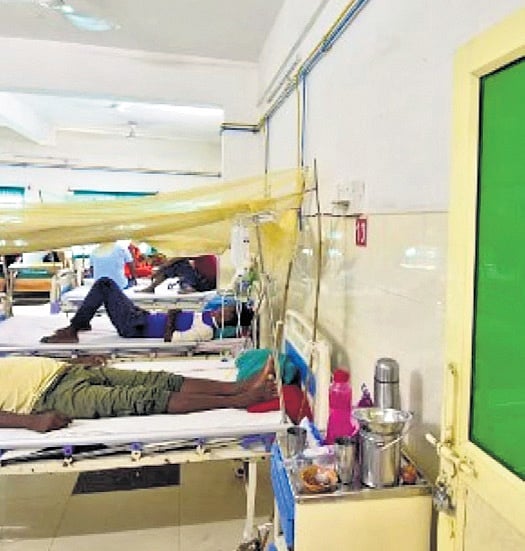 Dengue cases dropped by 94 per cent this year, says NDMC