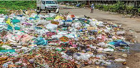 Garbage dumping on roadside spikes in Karnataka