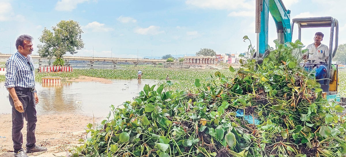 He breathes life back into Vaigai