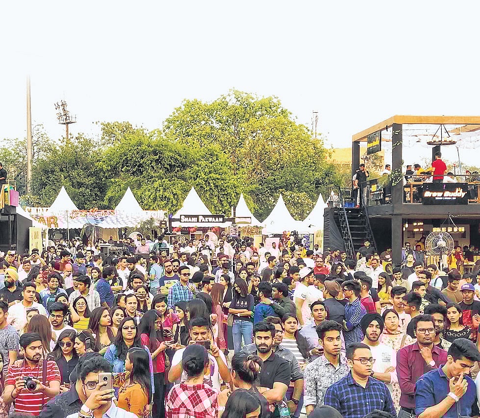 Grab, grub, and gorge