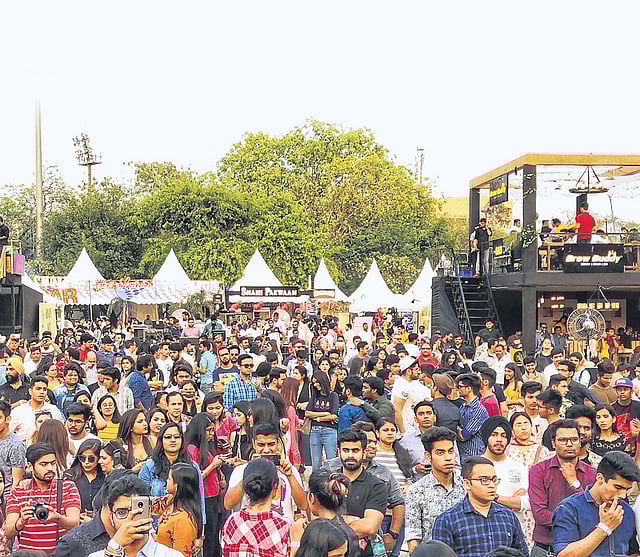 Grab, grub, and gorge