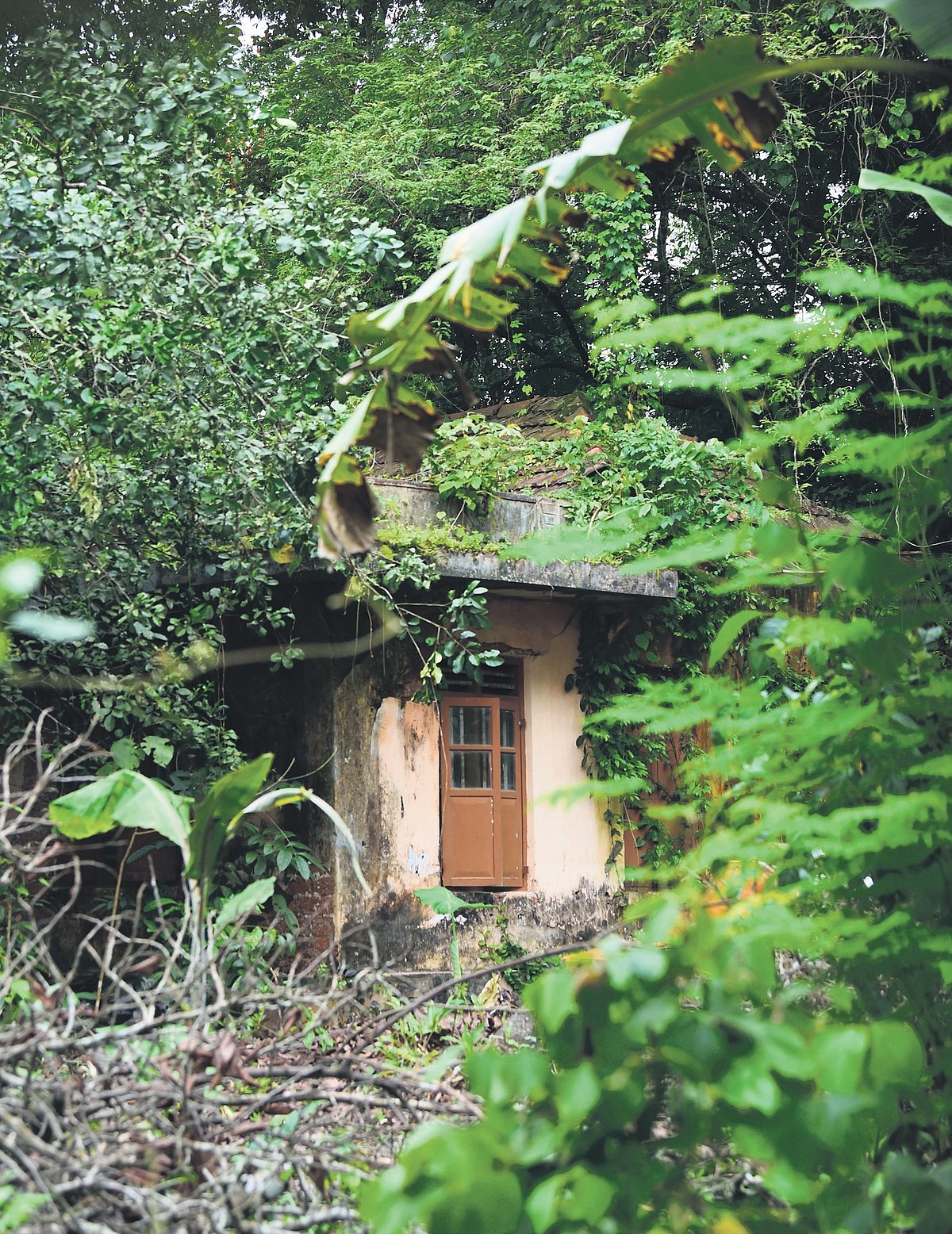 The ghost houses of Kerala