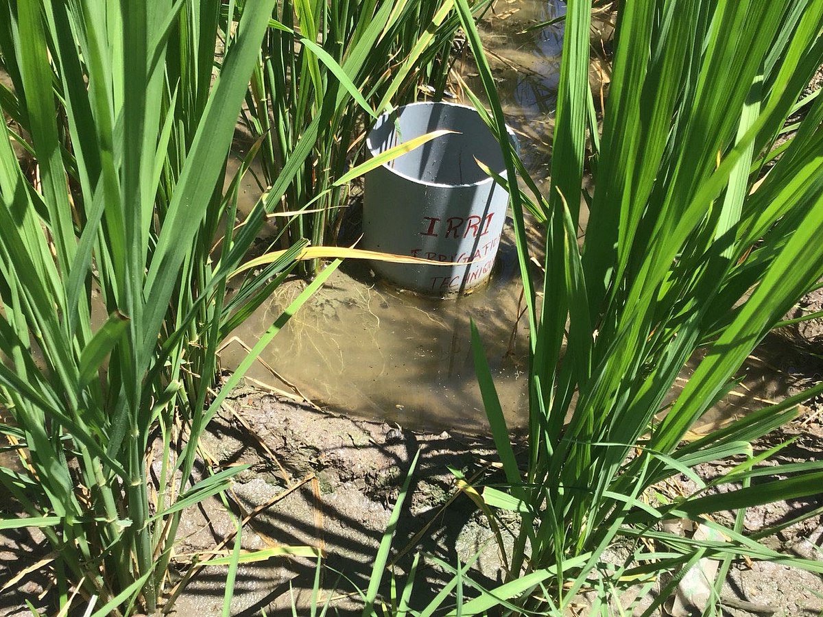 District agriculture department to study ‘Pani pipe’ method to improve ...