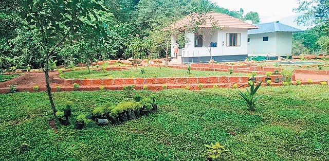 Kerala’s first ‘Nagar Van Yojana’ to come up in Iritty’s Valliyad