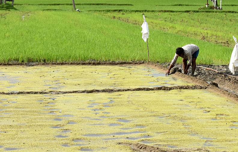 Farmers in Coimbatore's Sulur taluk oppose using agricultural land for laying another gas pipeline