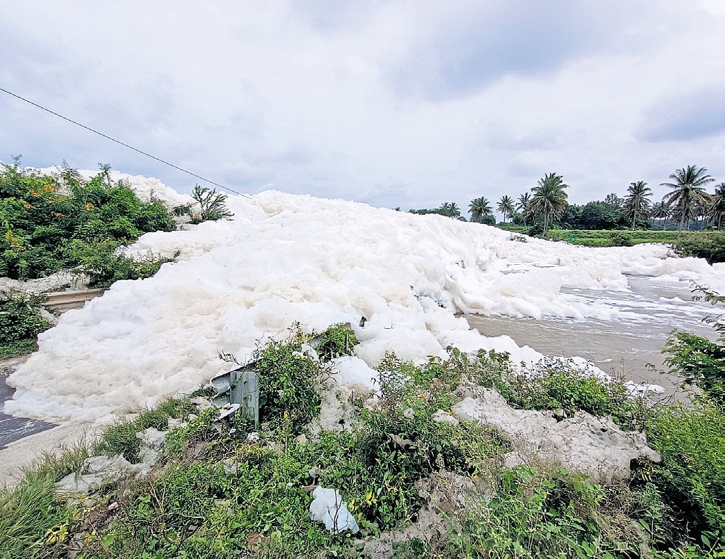 Polluted water flows out of Kelavarapalli dam, 10-ft high foam blocks ...