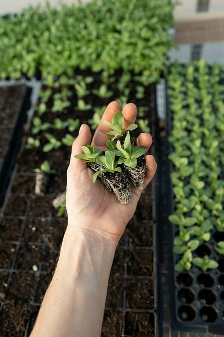 Organic farming pilot project will be launched in Vizianagaram soon ...