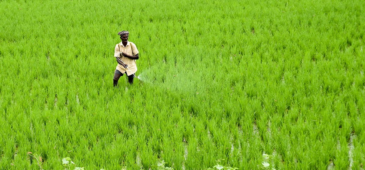 APCRDA to allot plots to Amaravati farmers today