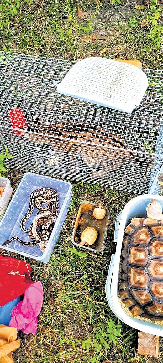 Seizure of 21 exotic species in AP unravels link to arrested TN ex-cop