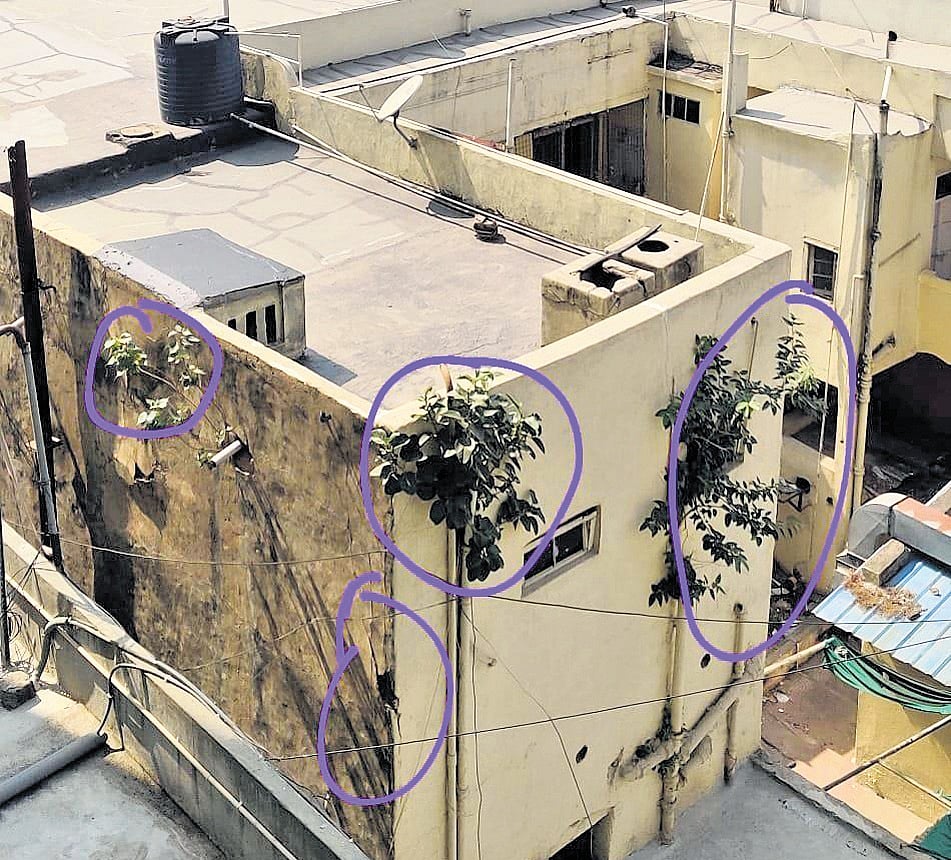 Century-old Nanking hotel a ticking time bomb: Engineers