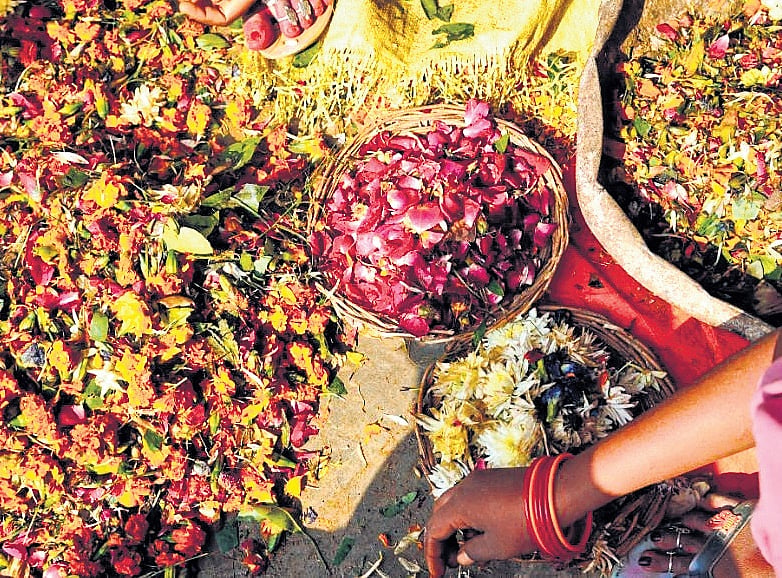 TDB, Kerala government to identify land for recycling floral waste ...