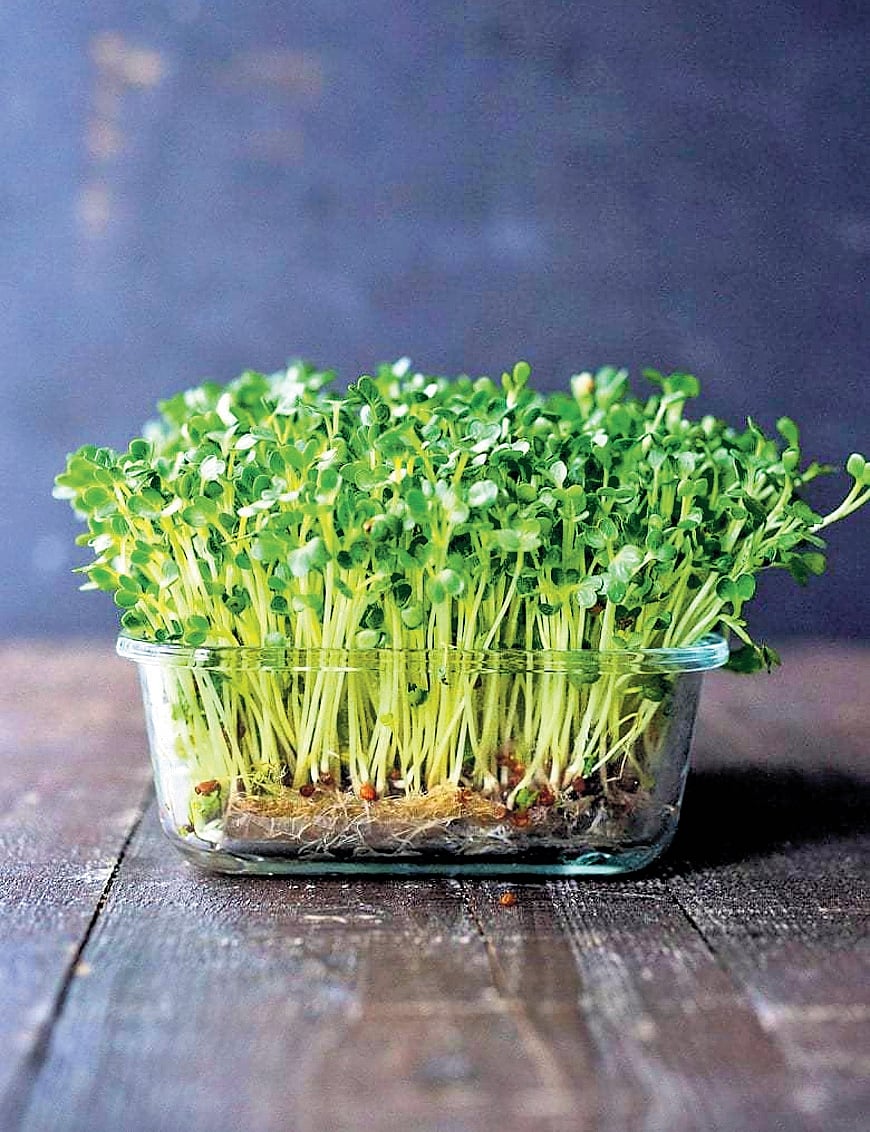 Tiny greens,big impact