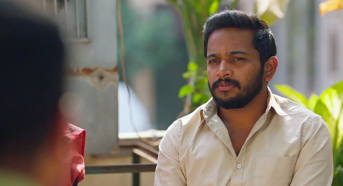 Different woods from the same tree