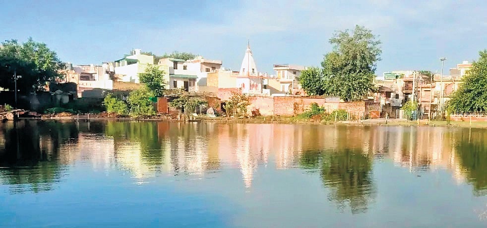‘No effective action’: NGT pulls up officials for failing to restore ponds