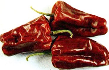 Telangana's Warangal Chapata Chilli, famous as Tomato Chilli, to get GI tag