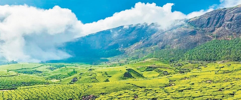 Temperature drops below 10 degrees, Munnar preps for higher tourist ...
