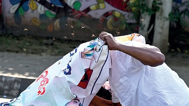 Bees sting 15 during protest by Youth Congress against Bishnupada Sethi ...