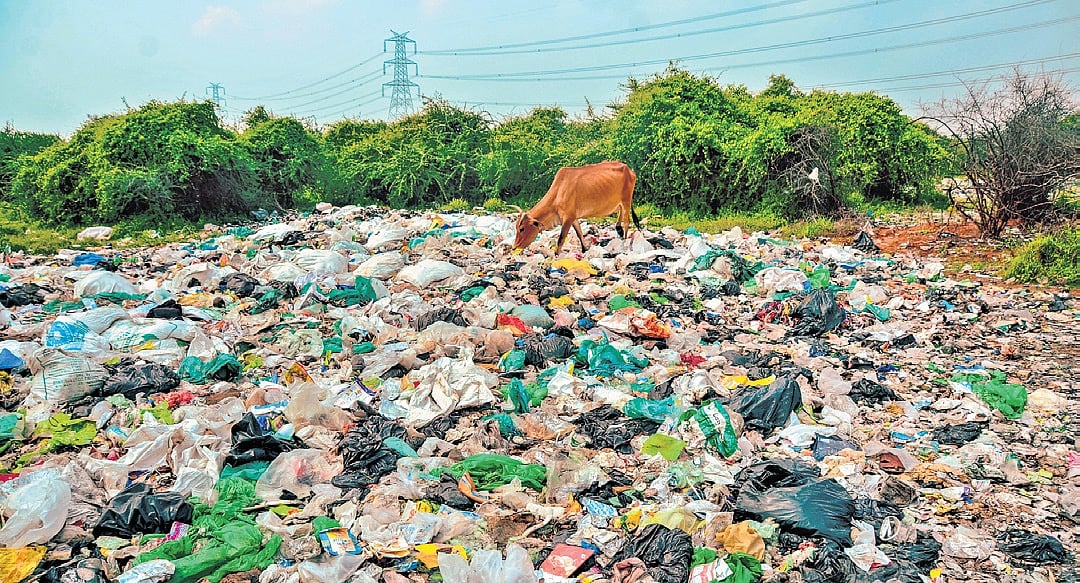 Tamil Nadu: Poor waste management leaves residents inhaling fumes in ...