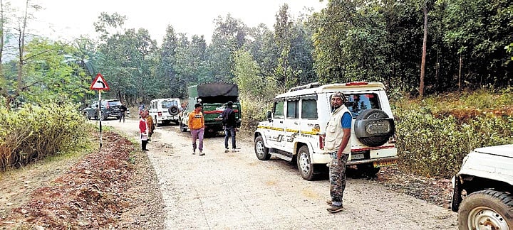 Zeenat enters West Bengal forest, three states on watch