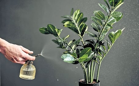 One for serial plant killers