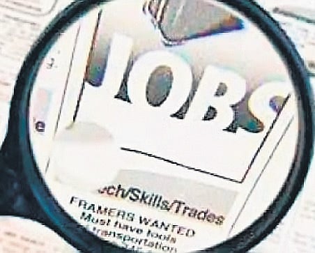 Fresher hirings see rise: Job applications surge 27% to 2 crore in 2024