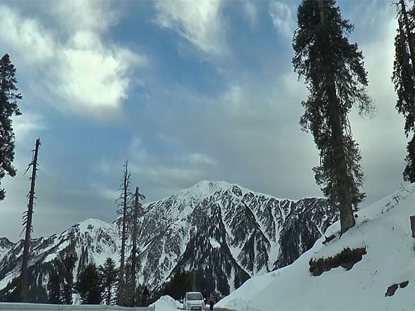 Tourists rush to Kashmir after heavy snowfall