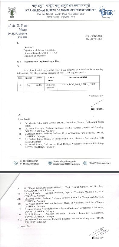 Himalayan 'Gaddi' dog recognised as an official breed