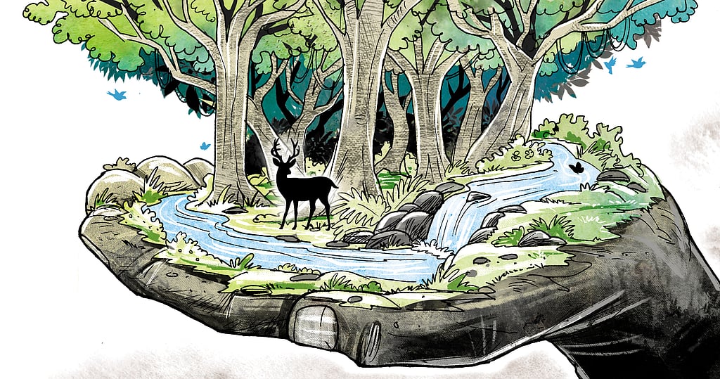 Protect forests, tribal rights sans compromise